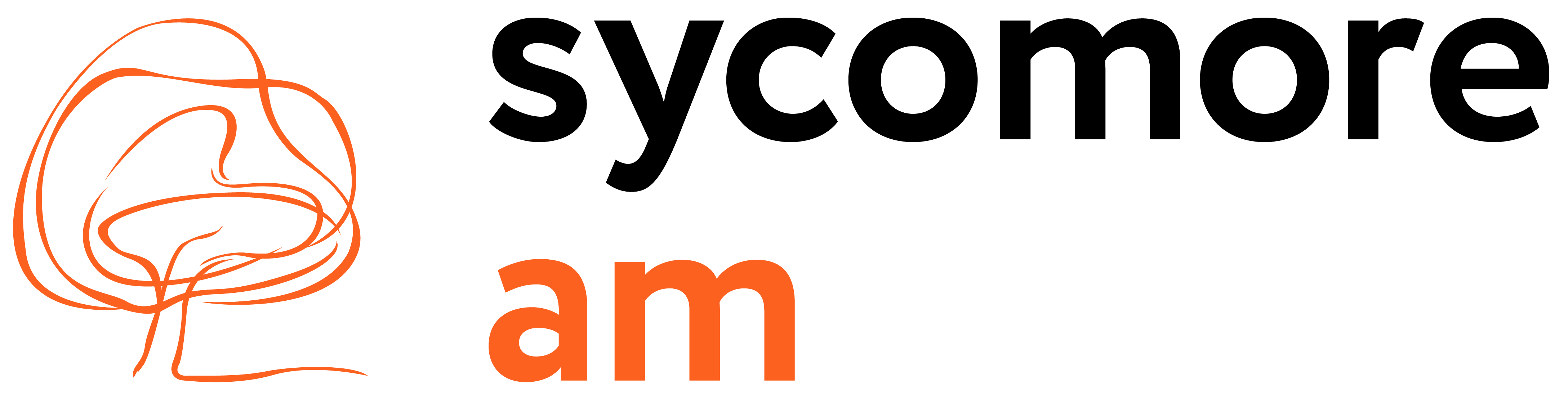 SYCOMORE AM - Salone SRI 2025